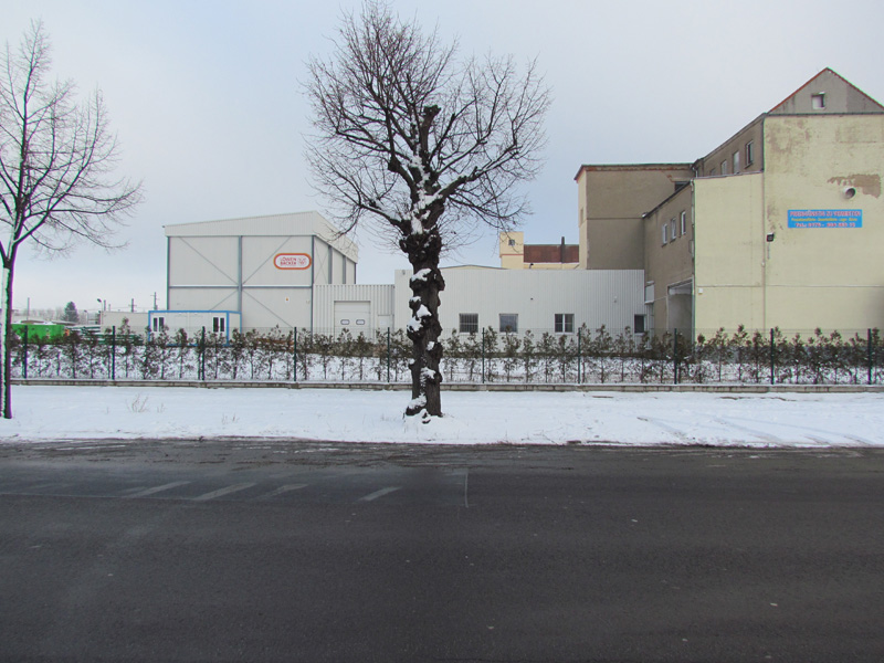 Zschortauer Strasse 105